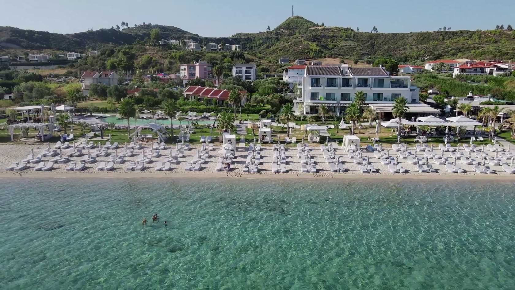 Home - Blue Carpet Luxury Suites